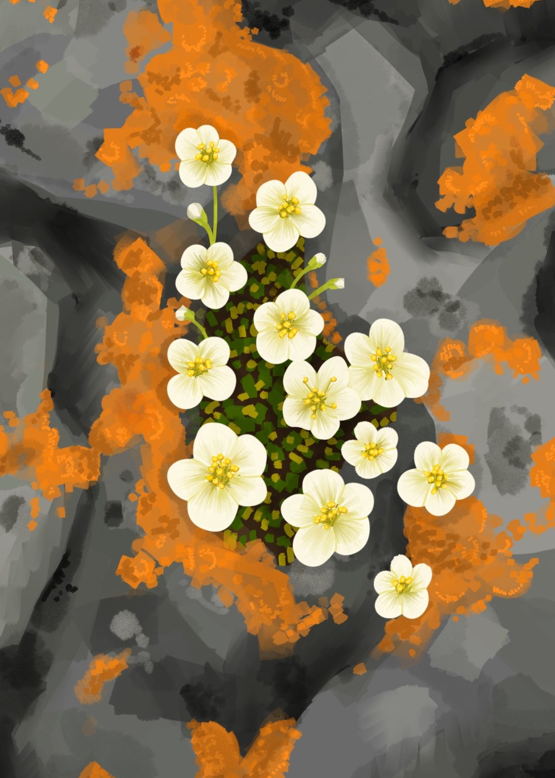Experience and inquire art by Emily Adamson